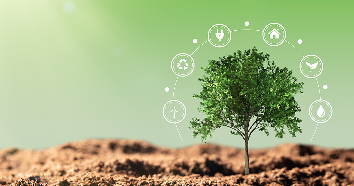 Sustainable Materials in Construction: Exploring Eco-Friendly Options ...