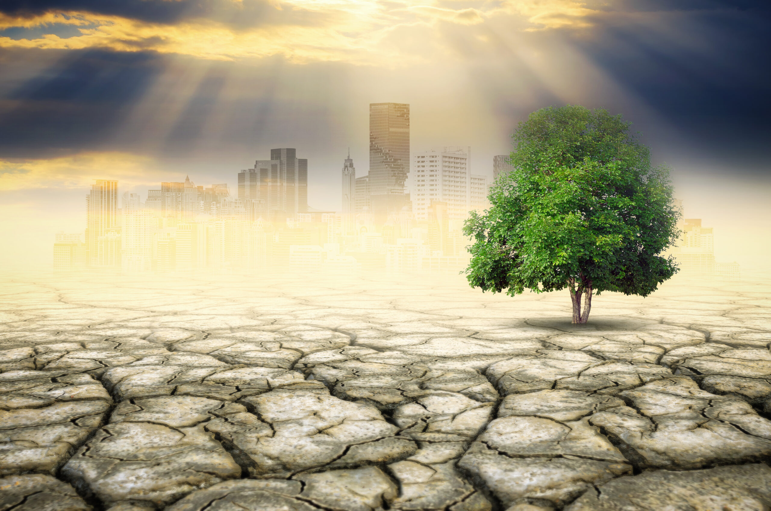 Climate Change Mitigation Strategies: Renewable Energy, Carbon Capture ...